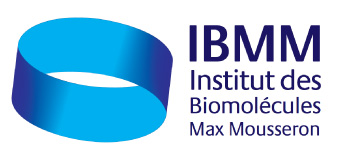 Presentation – IBMM