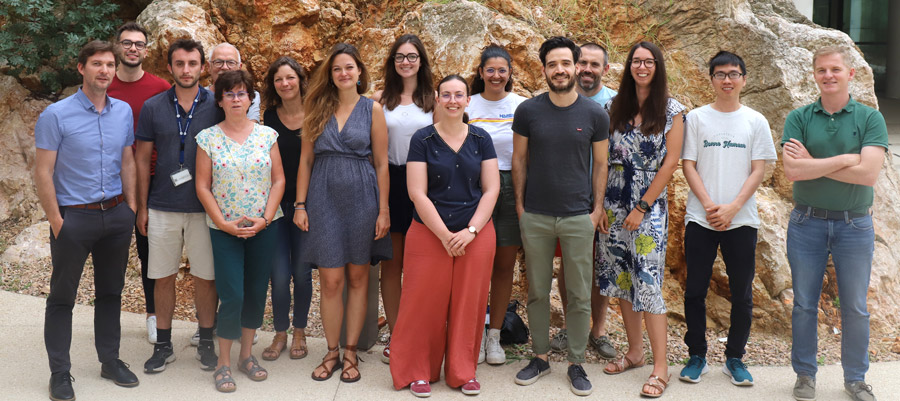 Polymères pour la Santé et Biomatériaux – IBMM